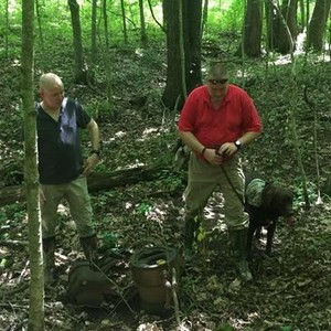 John Ceallach - Rotten Tomatoes