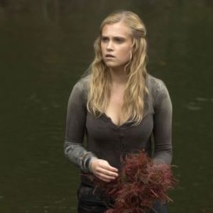 The 100 - Rotten Tomatoes