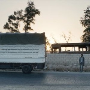 The Translator - Rotten Tomatoes