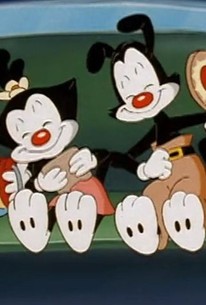Animaniacs: Season 3, Episode 13 | Rotten Tomatoes