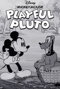 Playful Pluto | Rotten Tomatoes