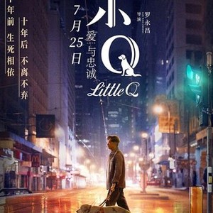 Little Q - Rotten Tomatoes