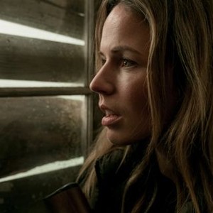 The Breach - Rotten Tomatoes