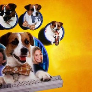 Paws - Rotten Tomatoes