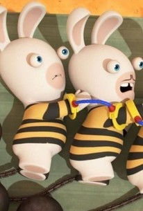 Rabbids Invasion: Season 4, Episode 13 - Rotten Tomatoes
