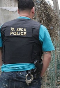 Philly Undercover: Season 1, Episode 6 | Rotten Tomatoes