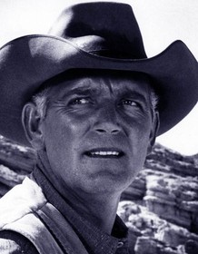 Terry Wilson | Rotten Tomatoes