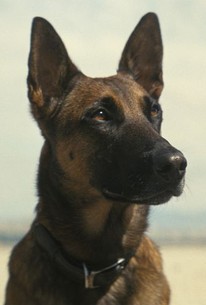 Fallout: Season 1, Episode 7 | Rotten Tomatoes