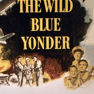 The Wild Blue Yonder - Rotten Tomatoes
