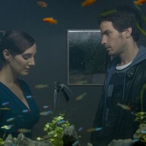The Life of Fish - Rotten Tomatoes