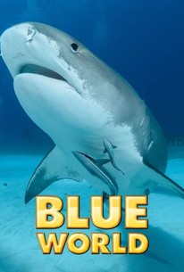 Jonathan Bird's Blue World: Season 8 | Rotten Tomatoes