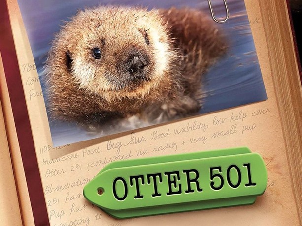 Otter 501 Netflix Whats Leaving Netflix October 2015