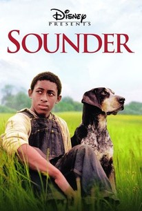 Sounder - Rotten Tomatoes