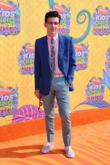 Drake Bell Car Accident Before After Pictures