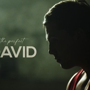 The Perfect David - Rotten Tomatoes