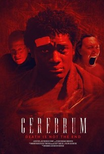 Cerebrum | Rotten Tomatoes