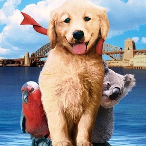 Napoleon - Rotten Tomatoes