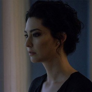 The Critic - Rotten Tomatoes