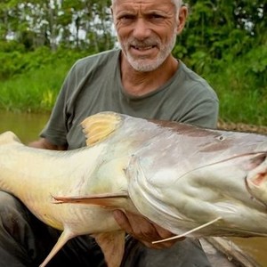 Jeremy Wade's Mighty Rivers: Season 1, Episode 5 - Rotten Tomatoes