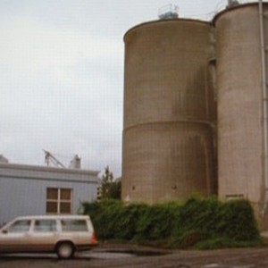 Old Joy - Rotten Tomatoes