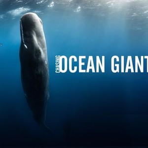 Chasing Ocean Giants - Rotten Tomatoes