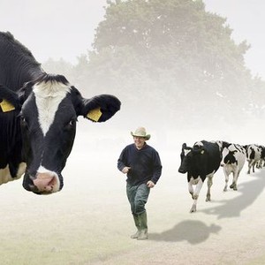 The Moo Man (2013) - Rotten Tomatoes