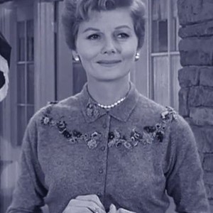 Leave It to Beaver: Season 3, Episode 12 - Rotten Tomatoes