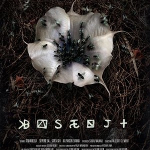 Basenji - Rotten Tomatoes