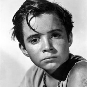 Scotty Beckett - Rotten Tomatoes