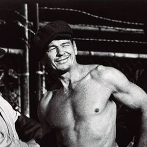 Hard Times - Rotten Tomatoes