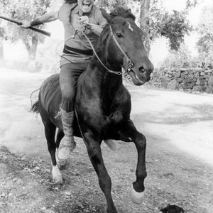 Geronimo - Rotten Tomatoes