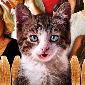 A Talking Cat? - Rotten Tomatoes