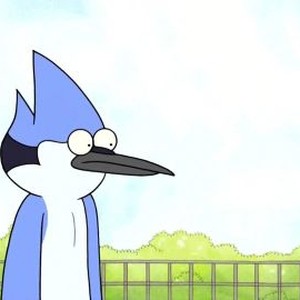 Regular Show - Rotten Tomatoes