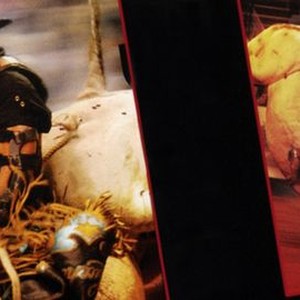 Bullrider - Rotten Tomatoes