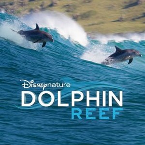 Dolphin Reef - Rotten Tomatoes