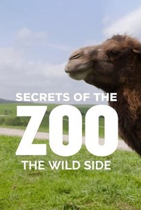 Secrets of the Zoo: The Wild Side: Season 1 | Rotten Tomatoes