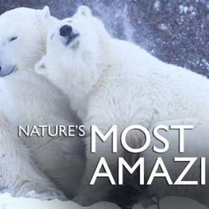 Nature's Most Amazing Events - Rotten Tomatoes