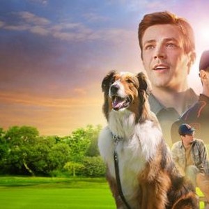 Rescued by Ruby - Rotten Tomatoes