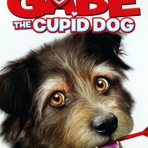 Gabe the Cupid Dog (2012) - Rotten Tomatoes