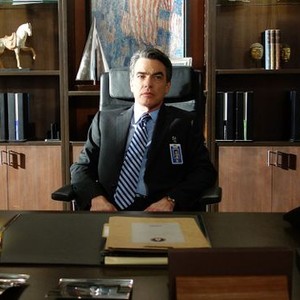 Peter Gallagher - Rotten Tomatoes