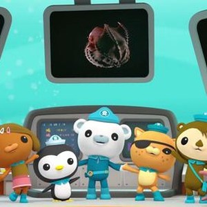 Octonauts: Creature Reports: Season 1, Episode 29 - Rotten Tomatoes