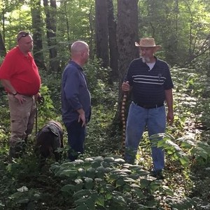 Chad Higginbotham - Rotten Tomatoes