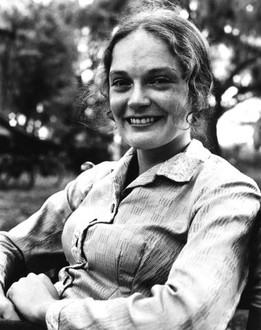 Elizabeth Hartman Arctic Feathers Pattern Elizabeth Hartman