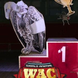World Animal Championships: Season 1, Episode 6 - Rotten Tomatoes