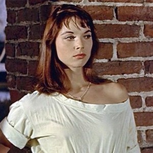 Rice Girl - Rotten Tomatoes