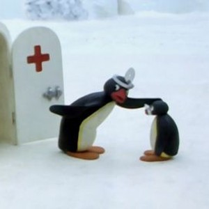 Pingu: Season 2, Episode 1 - Rotten Tomatoes