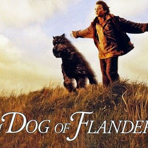 A Dog of Flanders - Rotten Tomatoes