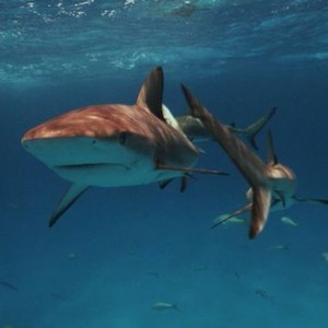 Face the Beast: Season 1, Episode 2 - Rotten Tomatoes