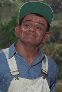 Green Acres: Season 3, Episode 14 | Rotten Tomatoes