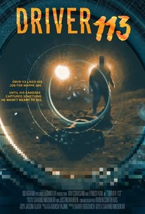 Driver 113 - Rotten Tomatoes